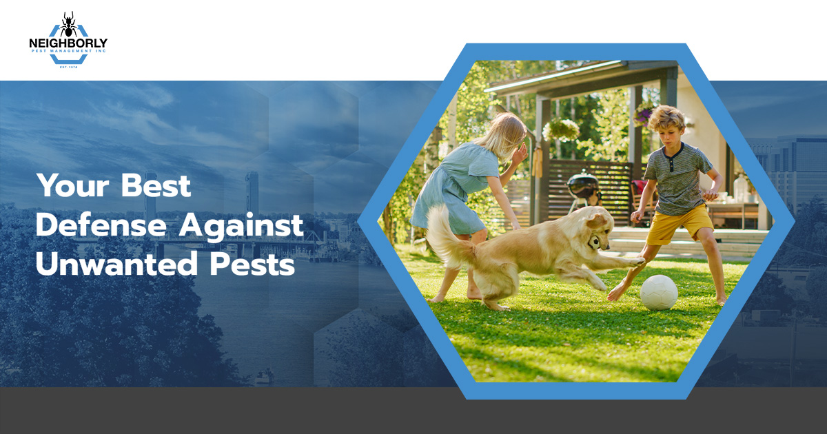 Pest Library | Insects & Rodents Of Greater Roseville, CA
