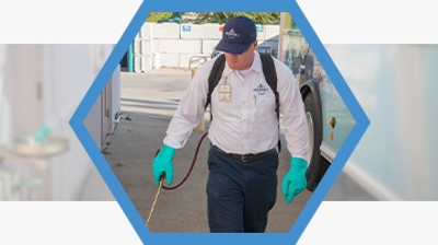 Roseville Pest Control | Neighborly Pest Management