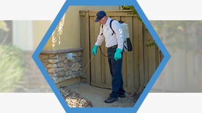 Roseville Pest Control | Neighborly Pest Management
