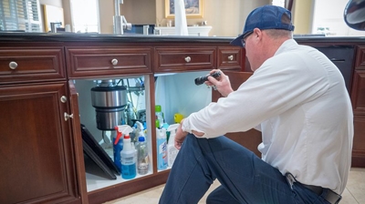 Home Pest Control In Roseville, CA | Neighborly Pest Management