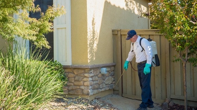 Home Pest Control In Roseville, CA | Neighborly Pest Management